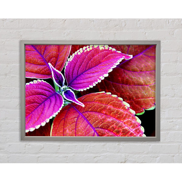 Ebern Designs Rich Autumn Leaves - Einzelner Bilderrahmen Kunstdrucke auf Leinwand | Wayfair.de